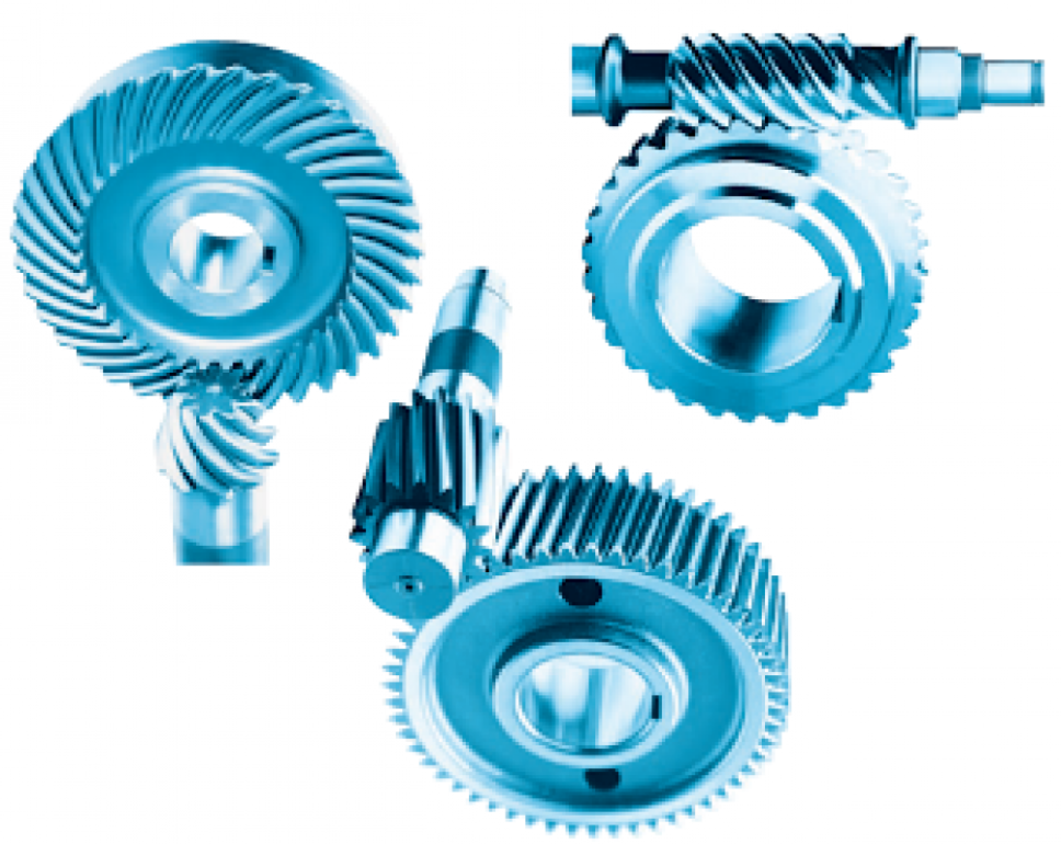 Univerzitet Crne Gore